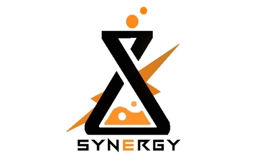 Synergy : ACE-IIChE